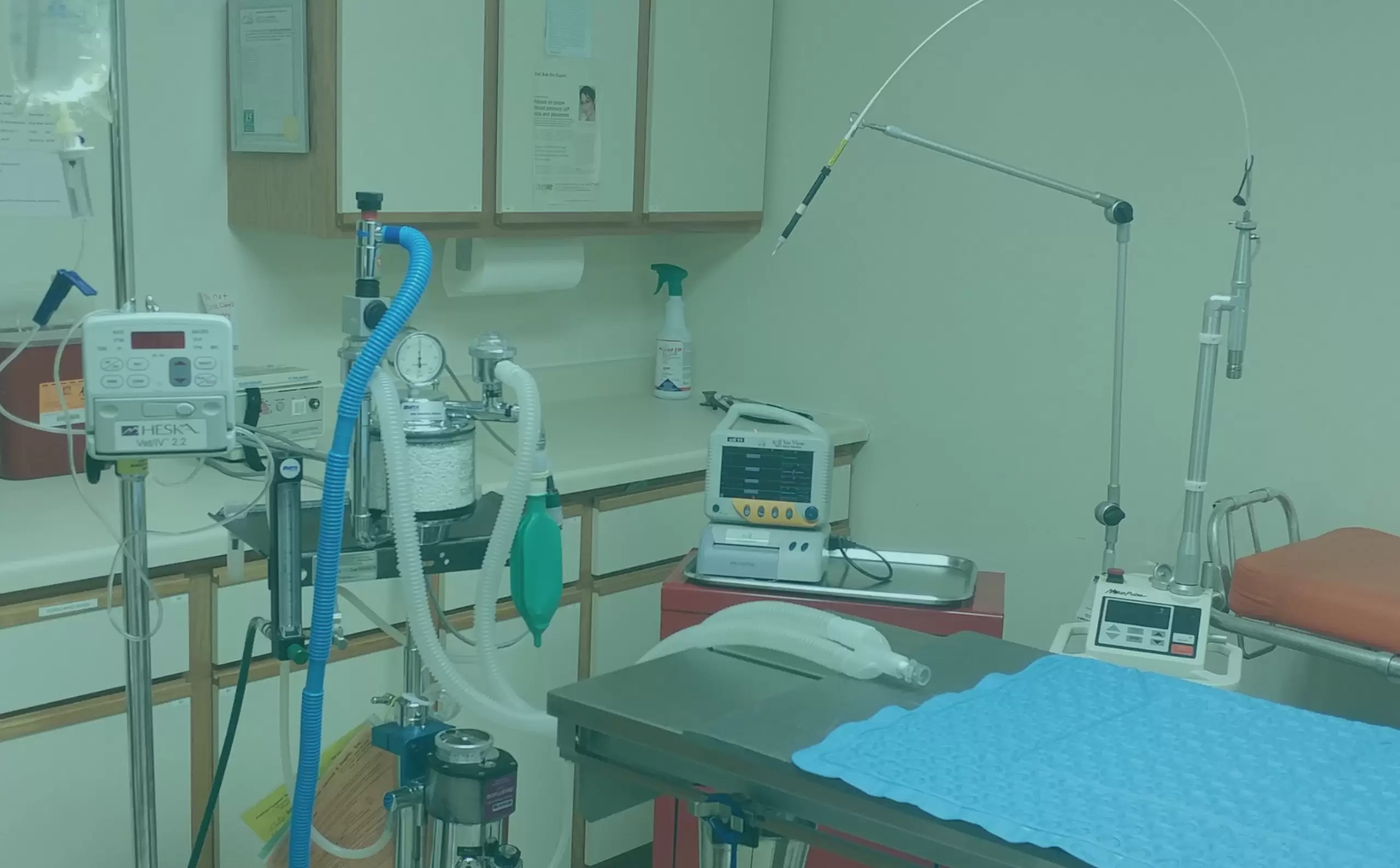 Vet-Tech | Specialized Veterinary Technology & Software Solutions